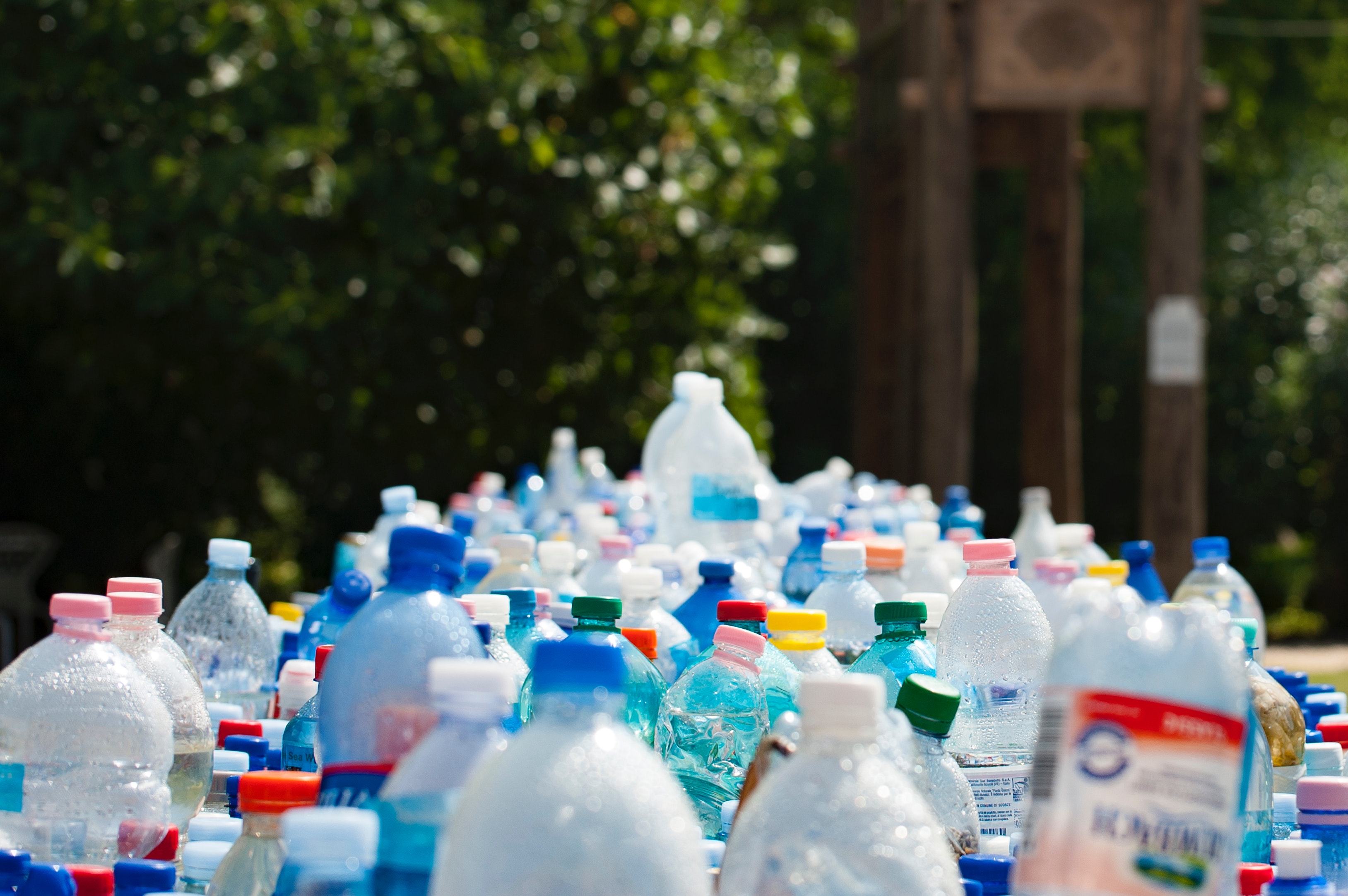 "BPA FREE" - Co to znaczy? Bisfenol A
